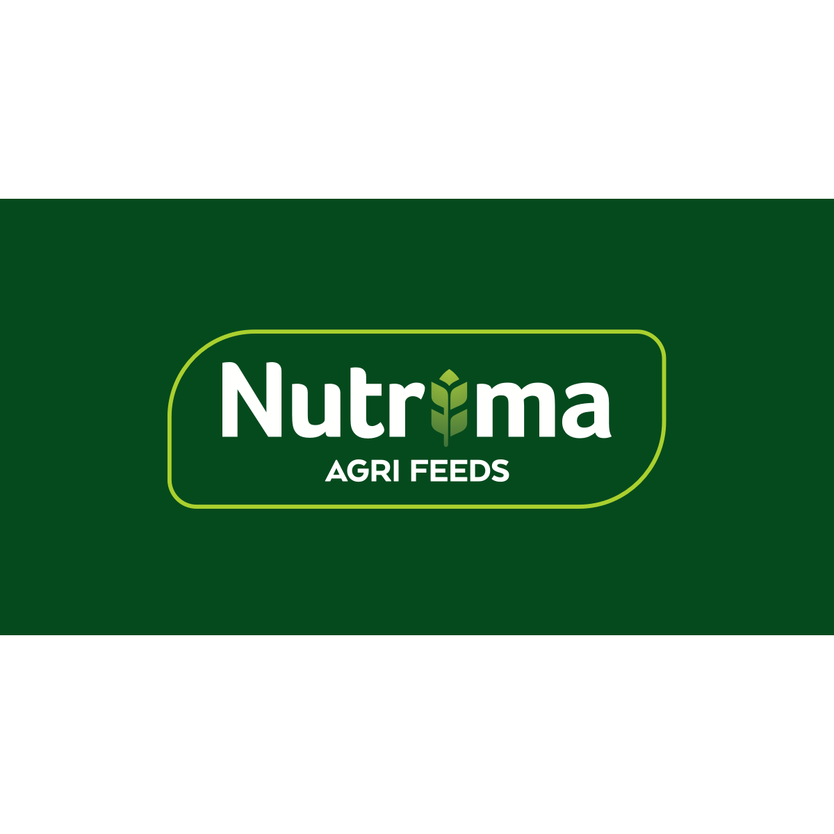 Limpeza da Cozinha - Nutrima