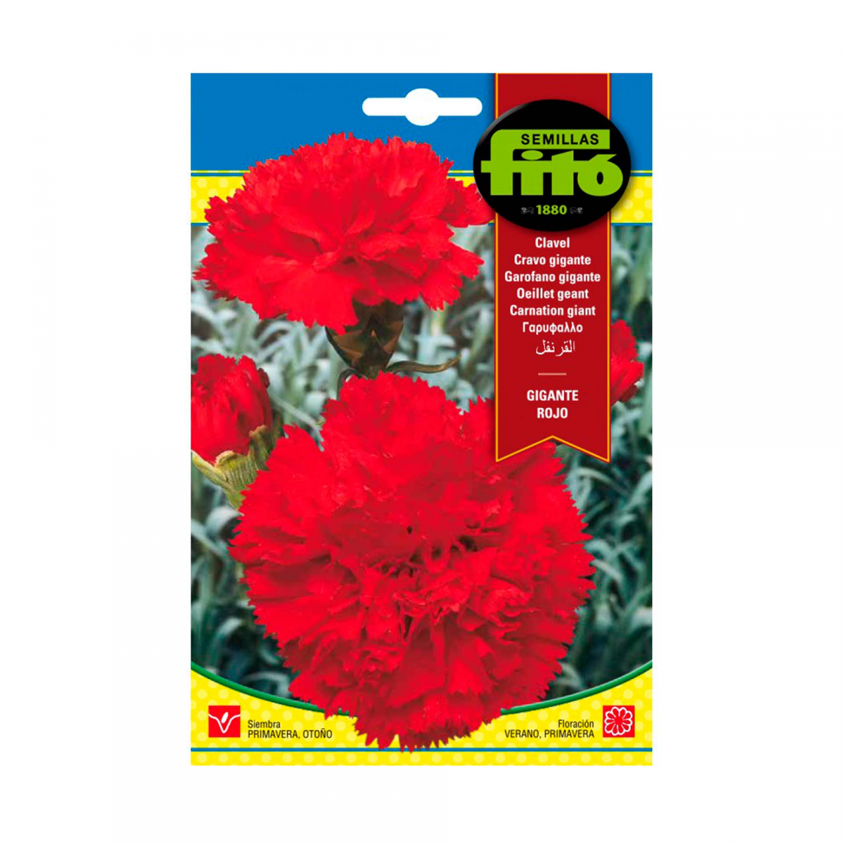 CRAVO GIGANTE ENCARNADO - 8GR - 10722 | Nutrima