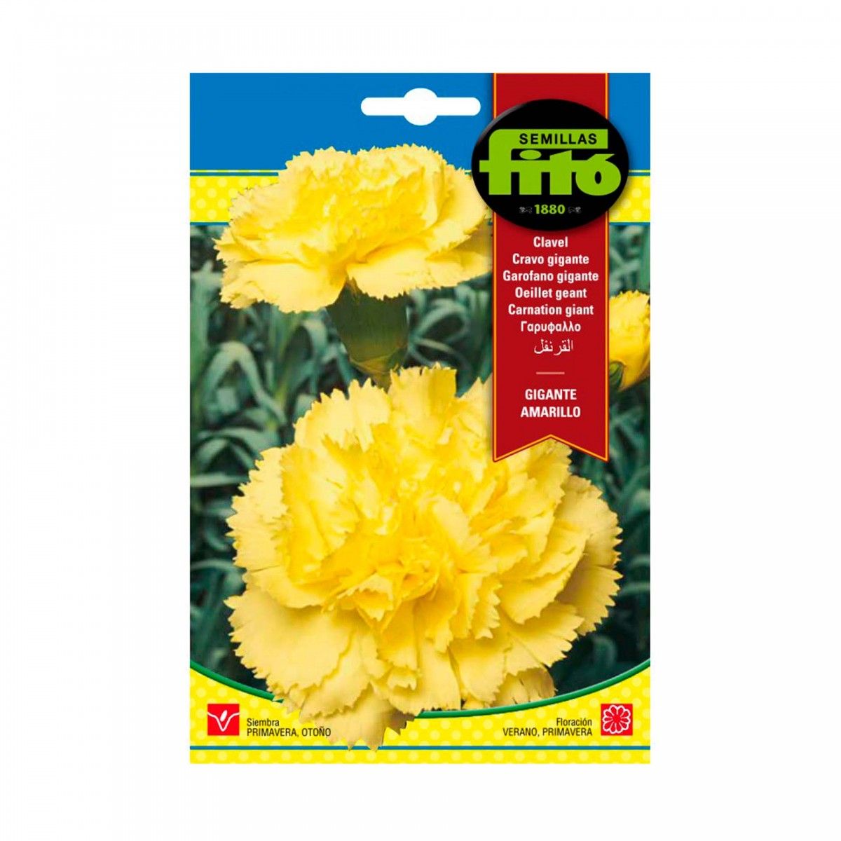 CRAVO GIGANTE AMARELO - 8GR - 10693 | Nutrima