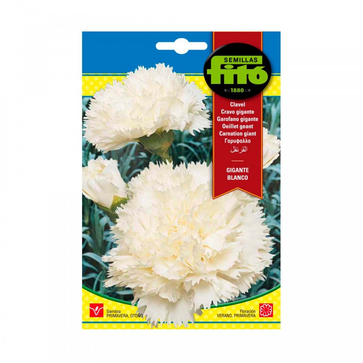 CRAVO GIGANTE BRANCO - 8GR - 10694 | Nutrima